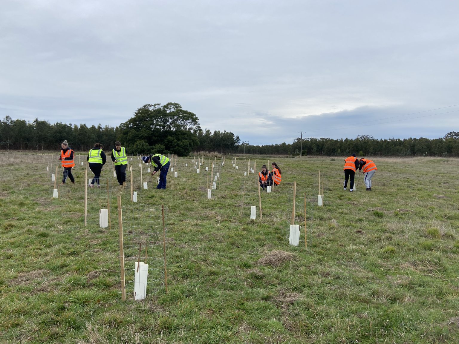 Community Engagement – Casterton Secondary College - Australian Bluegum ...