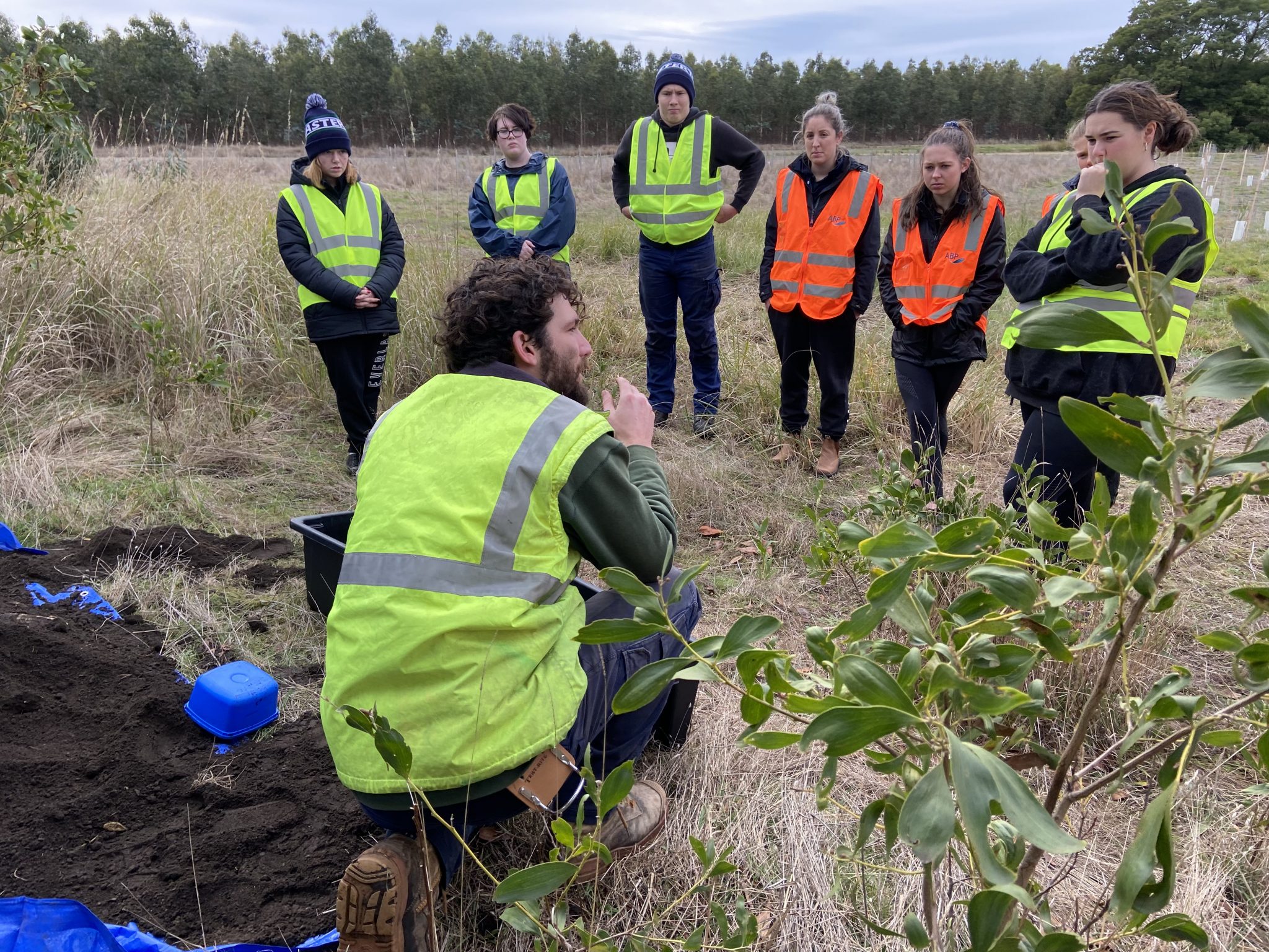 Community programs - Australian Bluegum Plantations