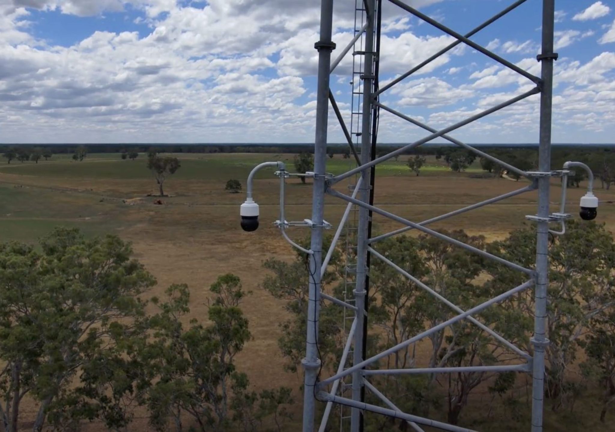 Community programs - Australian Bluegum Plantations