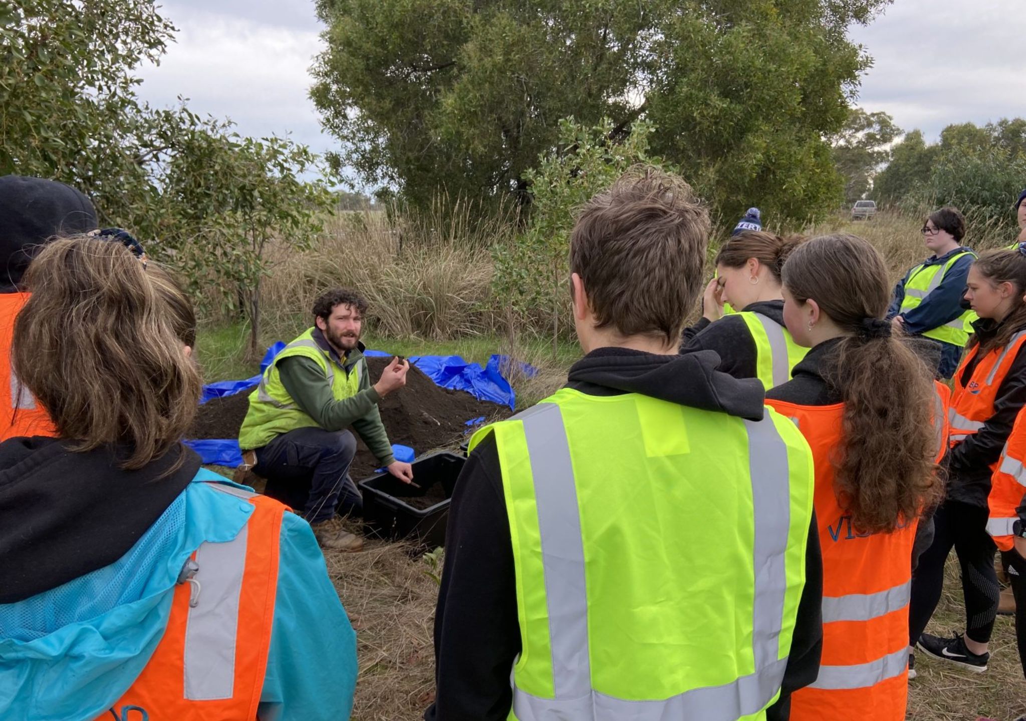 Community programs - Australian Bluegum Plantations